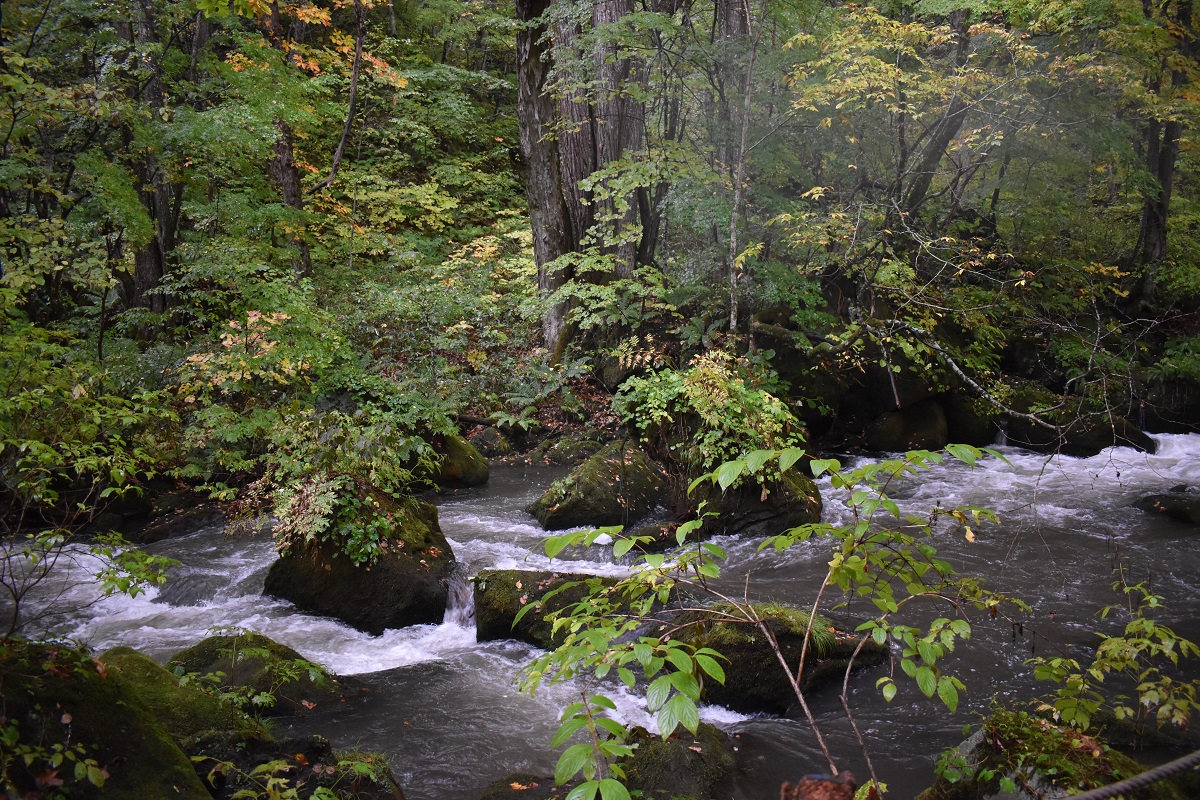 Oirase Valley in the rain | Japanese Countryside Travel Notes