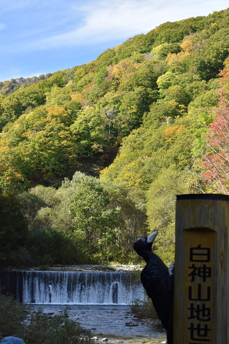 Shirakami mountains (World Heritage) | Japanese Countryside Travel Notes
