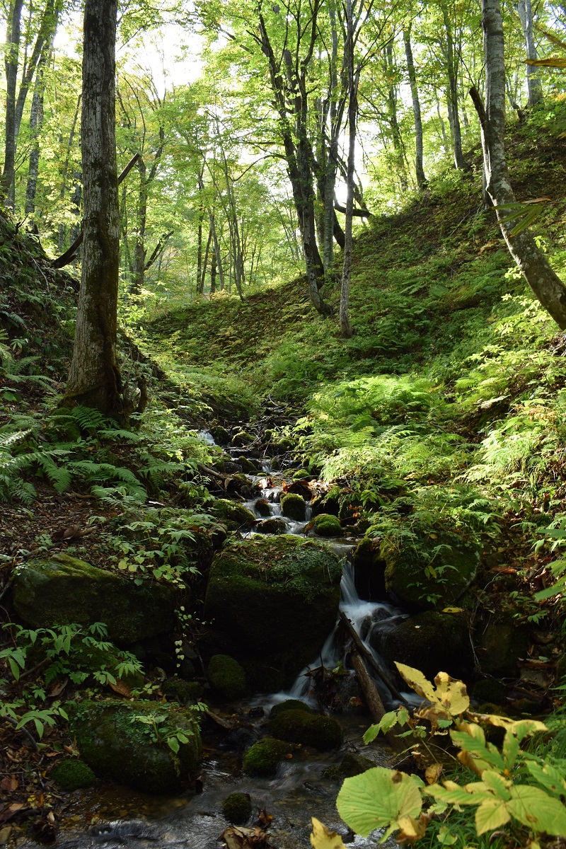 Shirakami mountains (World Heritage) | Japanese Countryside Travel Notes