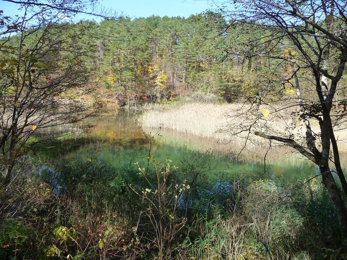 Urabandai Goshiki-Numa Ponds(Five colors ponds) walk | Japanese ...