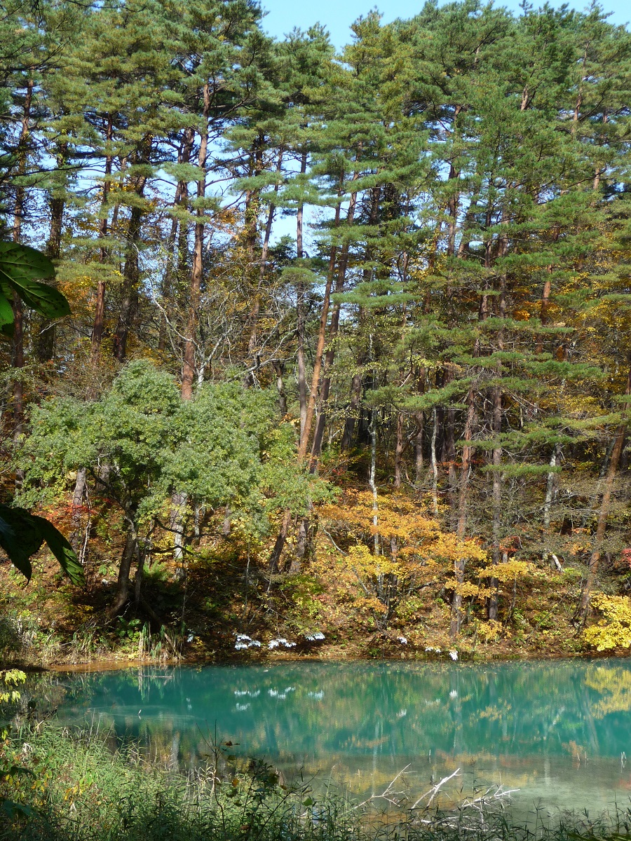 Urabandai Goshiki-Numa Ponds(Five colors ponds) walk | Japanese ...