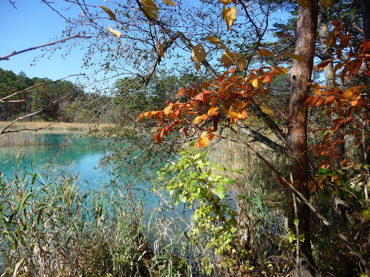 Urabandai Goshiki-Numa Ponds(Five colors ponds) walk | Japanese ...