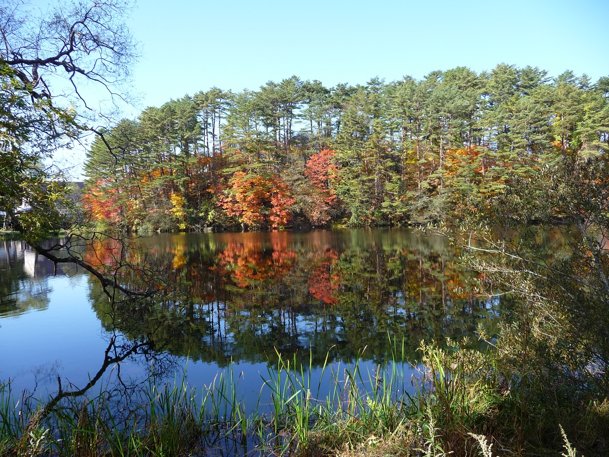 Urabandai Goshiki-Numa Ponds(Five colors ponds) walk | Japanese ...