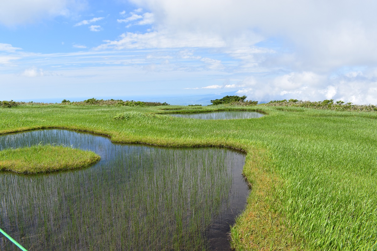 Dewa-Sanzan(Mountain worship) in Summer | Japanese Countryside Travel Notes