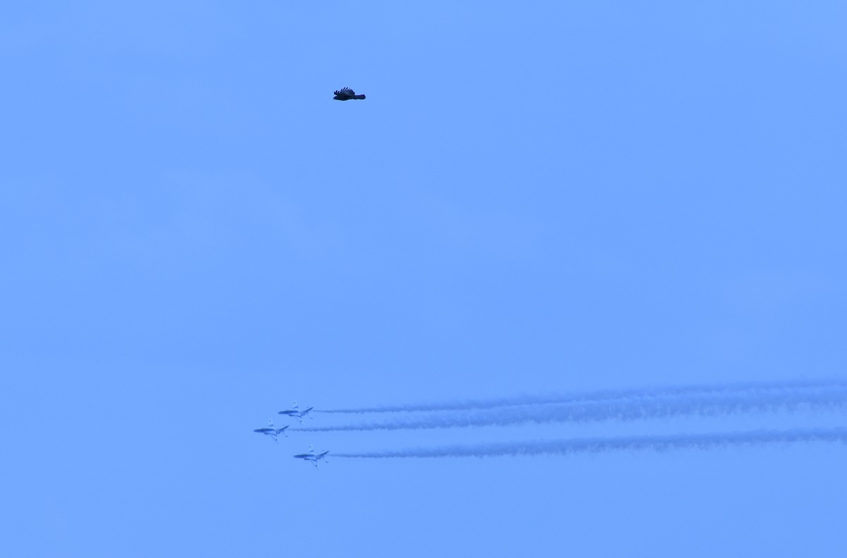 Top Gun ! Blue impulse demonstration flight taking off from Matsushima ...