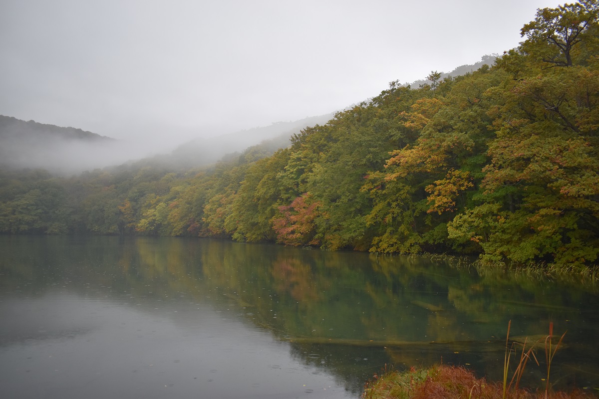 Tsuta Swamp | Japanese Countryside Travel Notes
